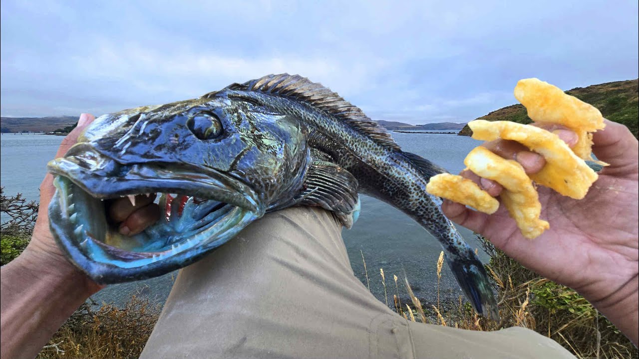 A Simple and Delicious Fish Dish Anyone Can Make