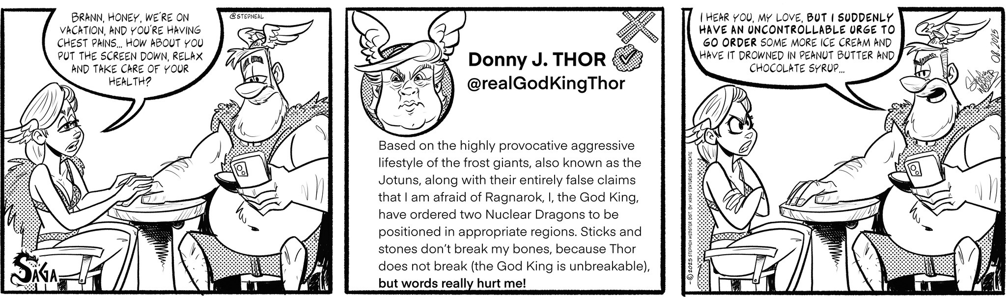 The Saga of Brann Bjornson by Stephen Webster