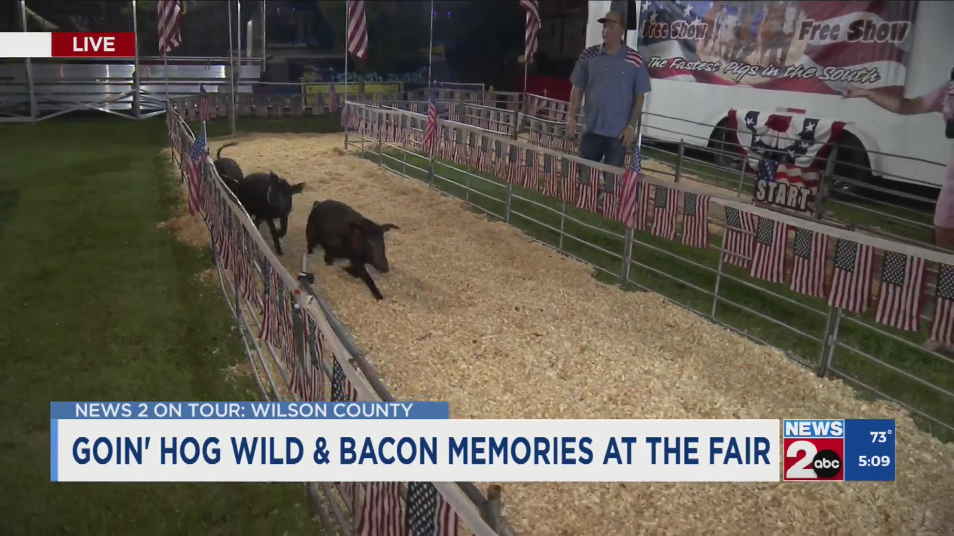 TN State Fair: Pig racing