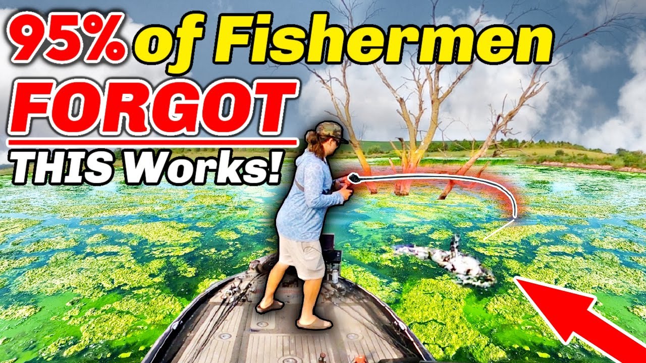 Conquered brutal summer fishing conditions with forgotten bait