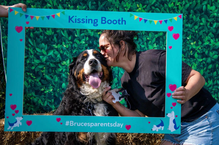 Bruce’s Doggy Daycare Ditchling to host pawsitively fetching family fun ...