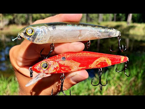 Don’t go fall fishing without top three lures