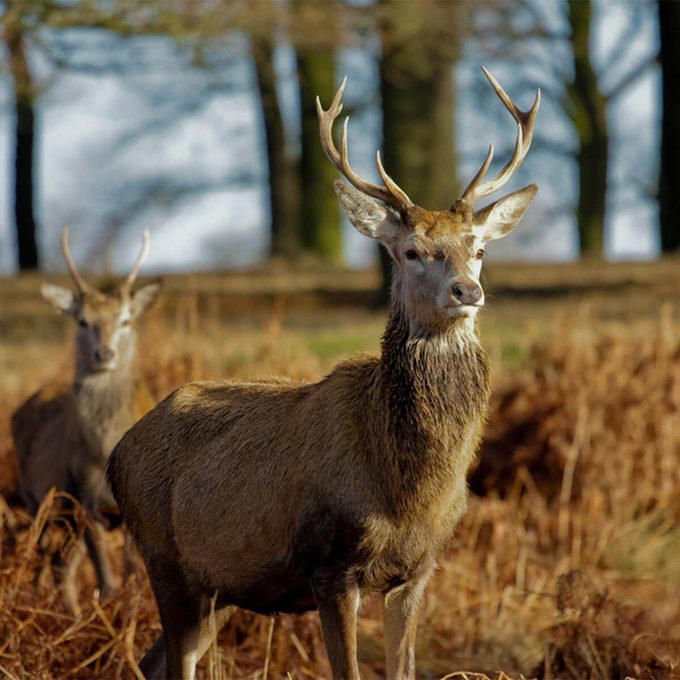 15 Things to Look for When Buying Land