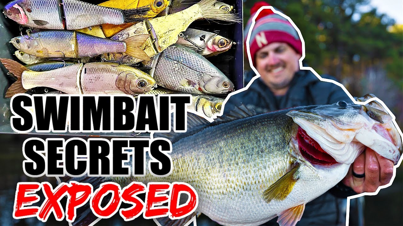 Swimbait fishing secrets I never should have shared