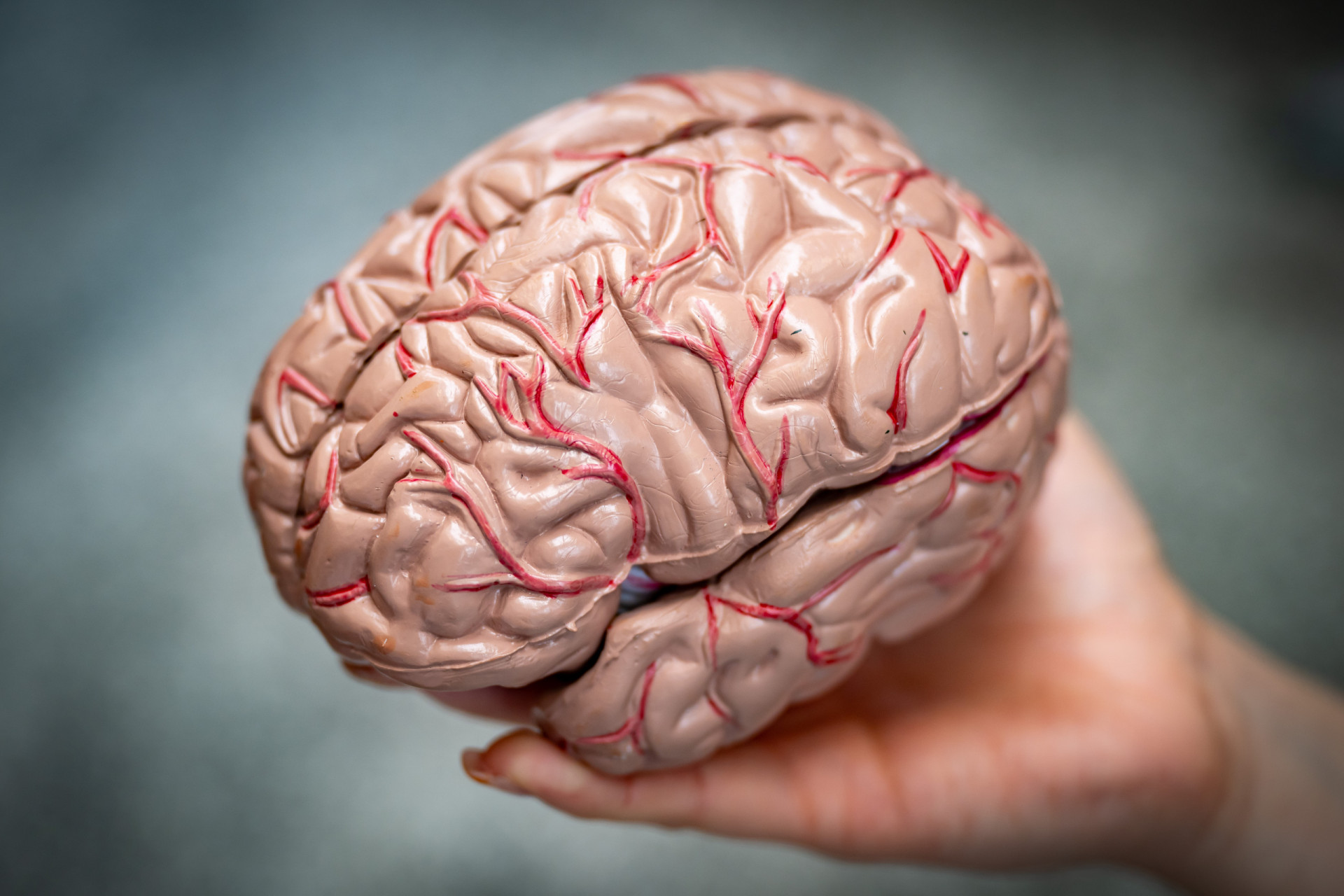 Why the human brain has shrunk