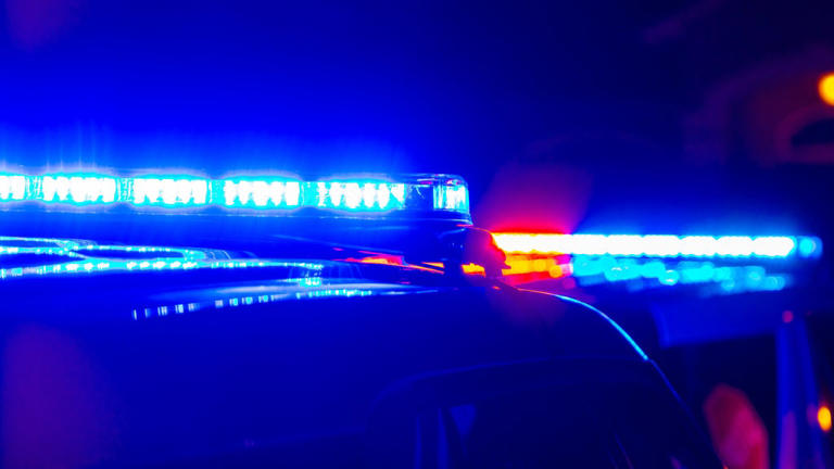 North Strabane vape shop manager taken into custody following police ...