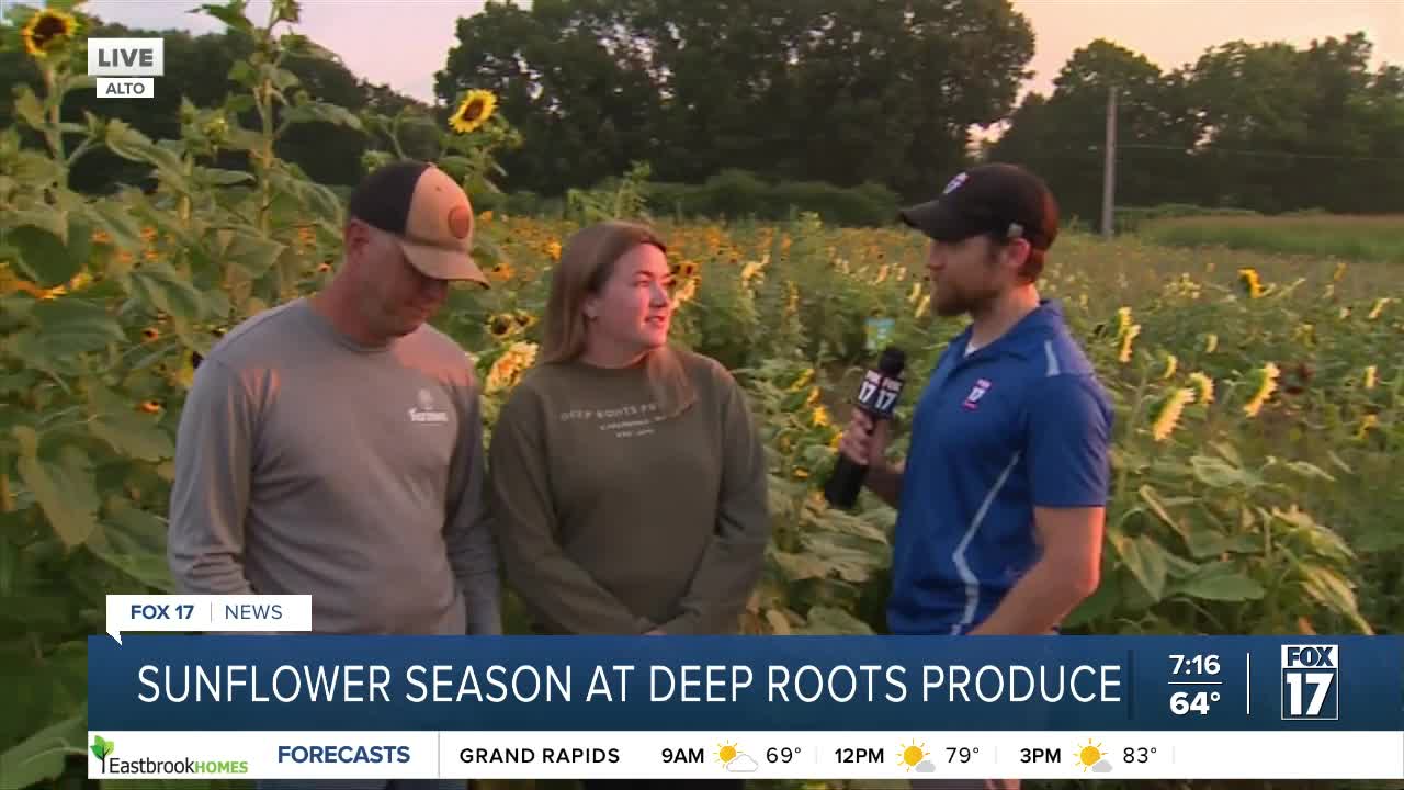 Deep Roots Produce 7Am