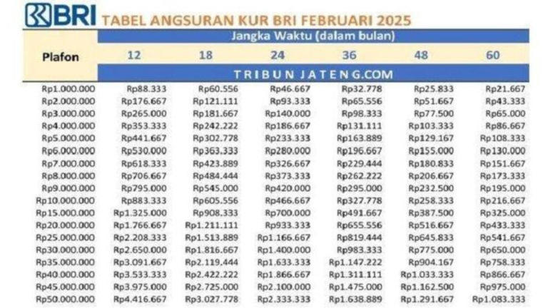 Proses Cepat! KUR BRI 2025 Pinjaman Rp100 Juta Langsung Cair untuk ...