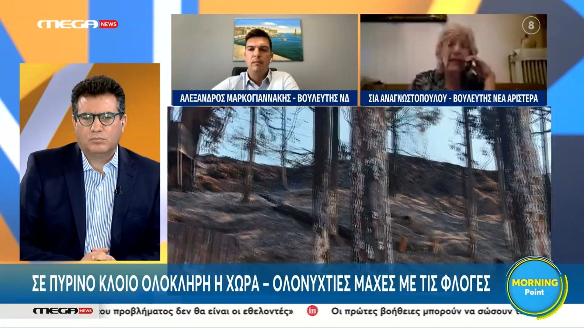 Σία Αναγνωστοπούλου για φωτιές: «Η κυβέρνηση όχι μόνο δεν μπορεί, δεν ...