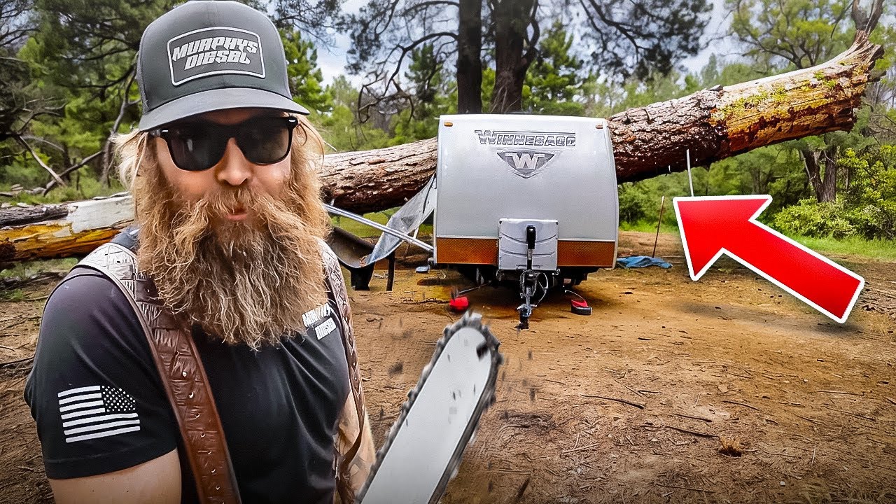 MASSIVE Tree Falls On Camper… She Was Still Inside!!