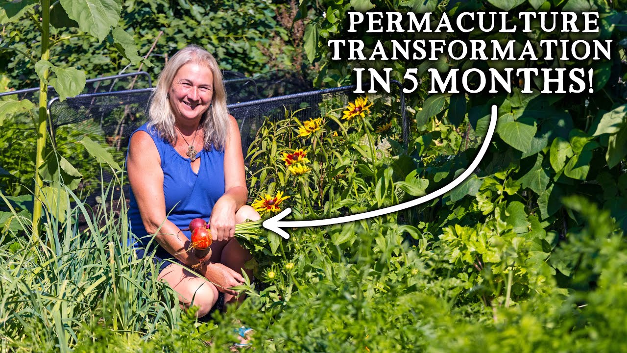 From Lawn to No Dig Abundance in 5 MONTHS | NEW Productive Kitchen ...