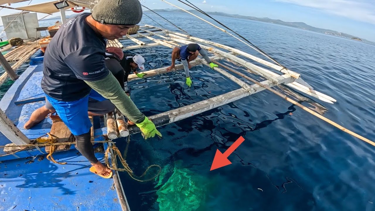 Spotted a Giant Grouper From a Distance! 🐟👀