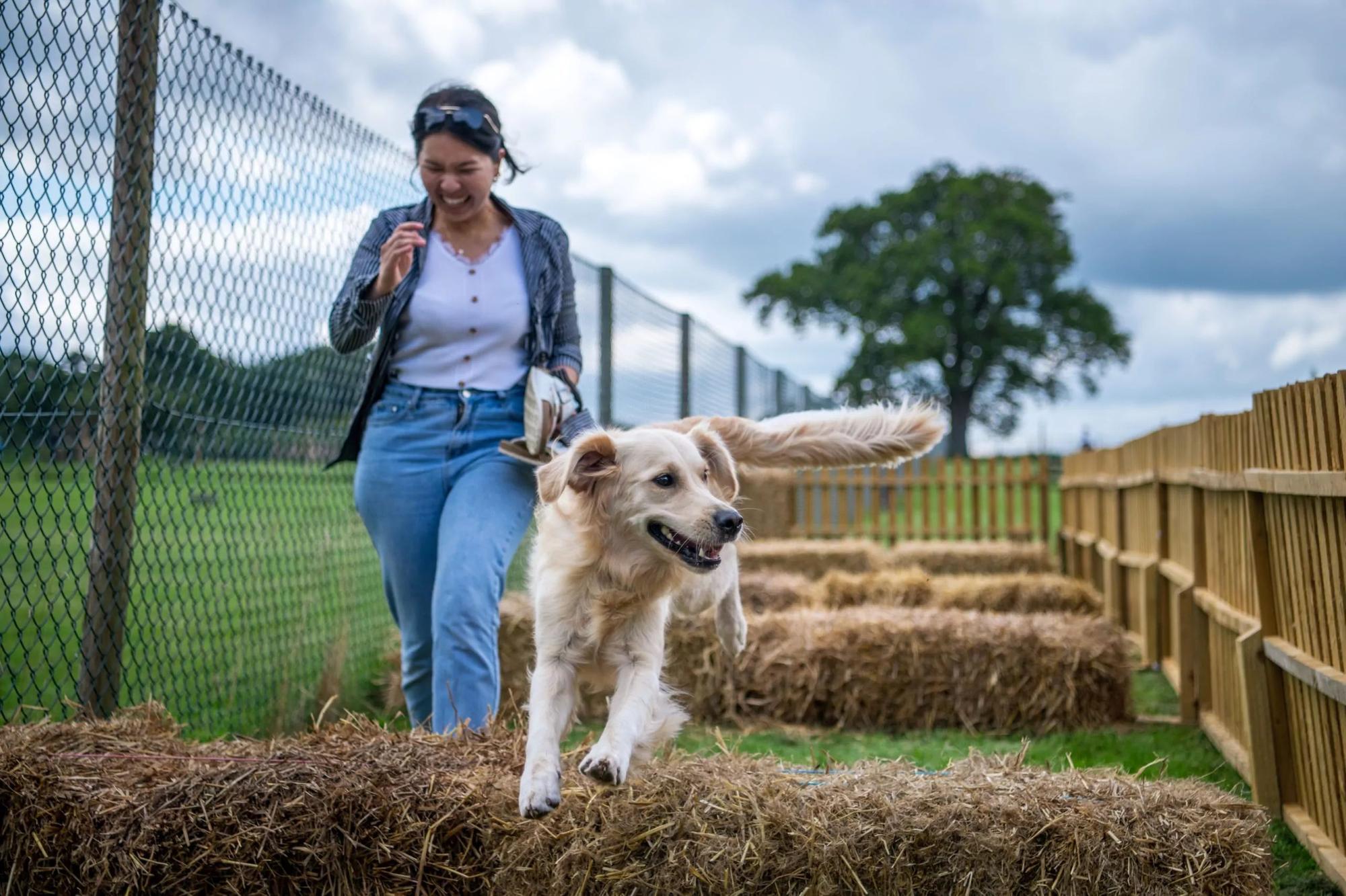 Bruce’s Doggy Daycare Ditchling to host pawsitively fetching family fun ...