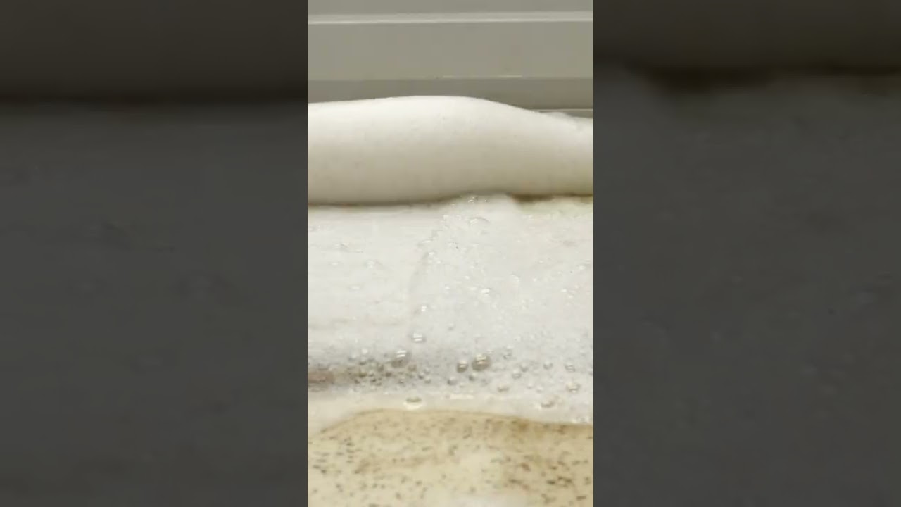 Cleaning Shrek’s Rug: A Satisfying Transformation 🧼