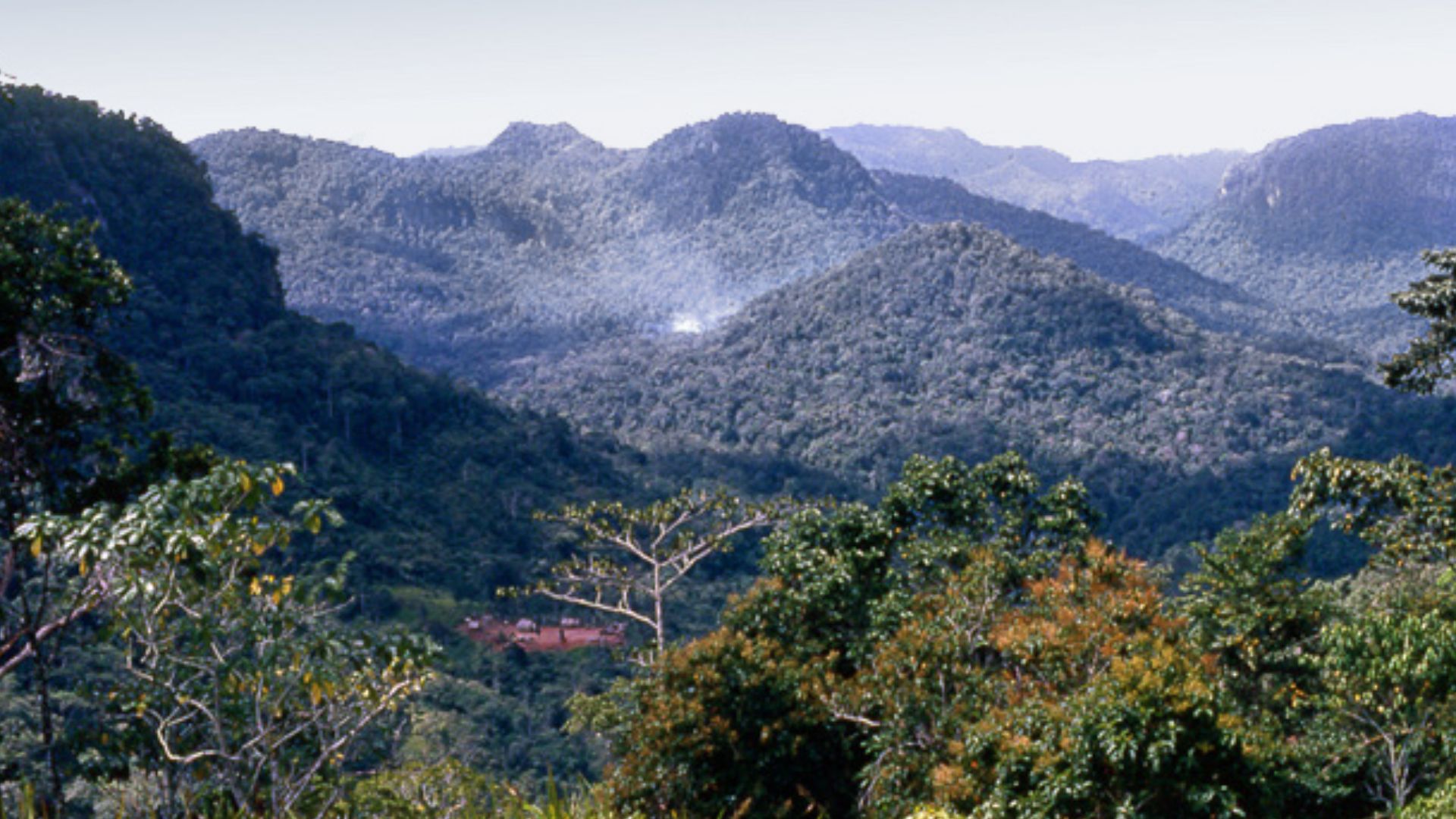 Photos Of The Hidden Treehouse Tribe That Still Practices Cannibalism
