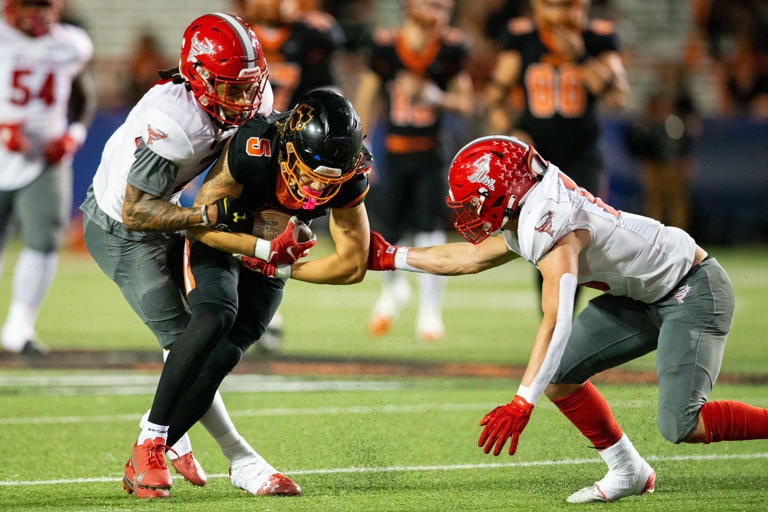 Gainesville-area FHSAA third-round playoff schedule with Buchholz ...