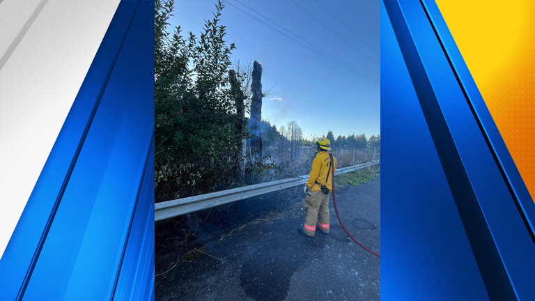 Portland firefighters respond to large brush fire at Gateway Green Park