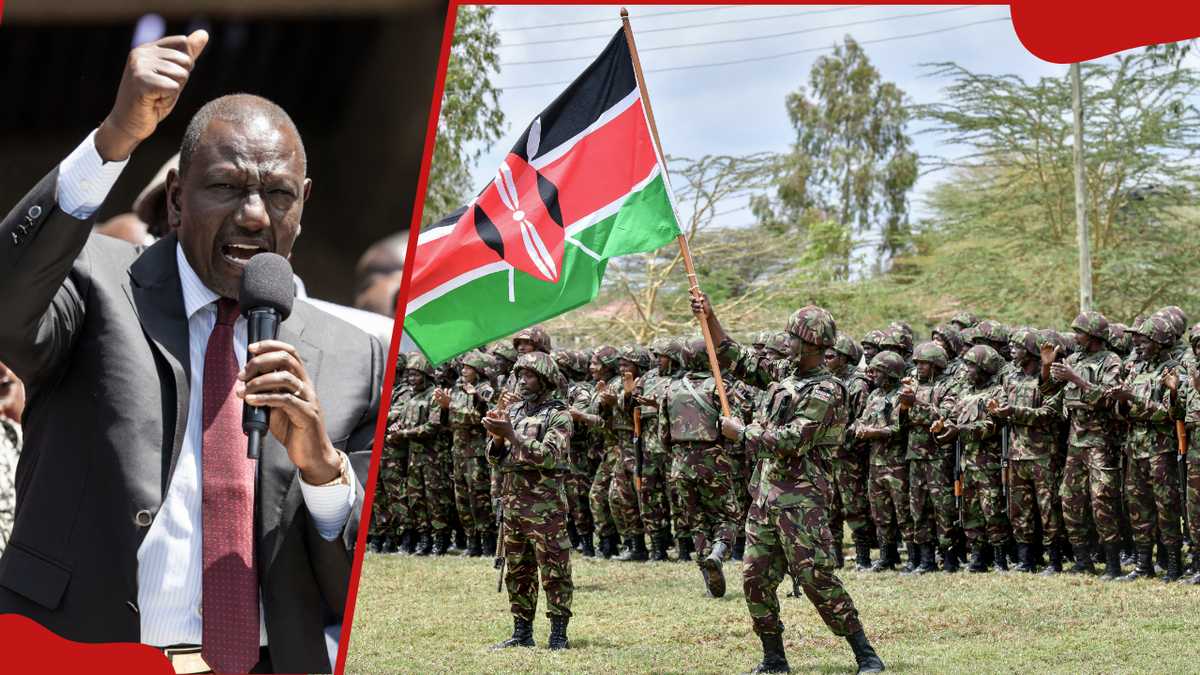 Senator Ali Roba urges Ruto govt to shield Mandera from Somalia’s ...