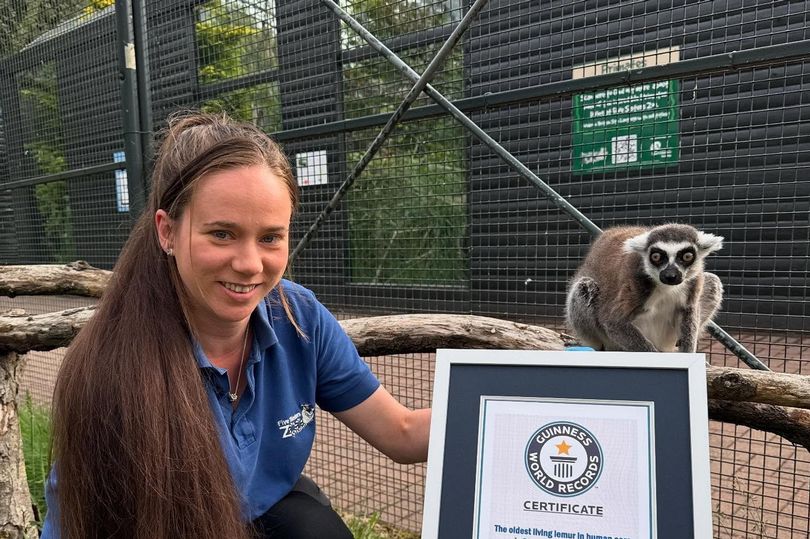 World's oldest lemur dies in Scotland aged 39 just months after ...