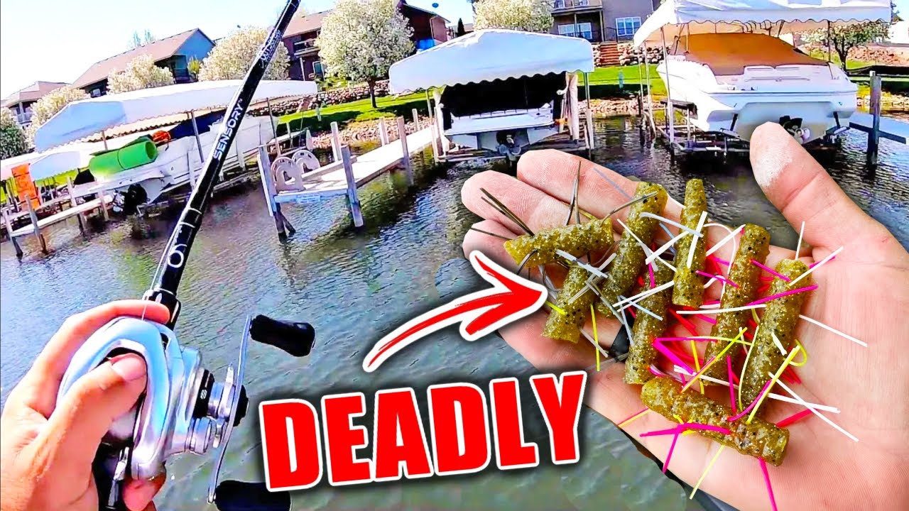 Bizarre homemade bait dominates shallow water bass