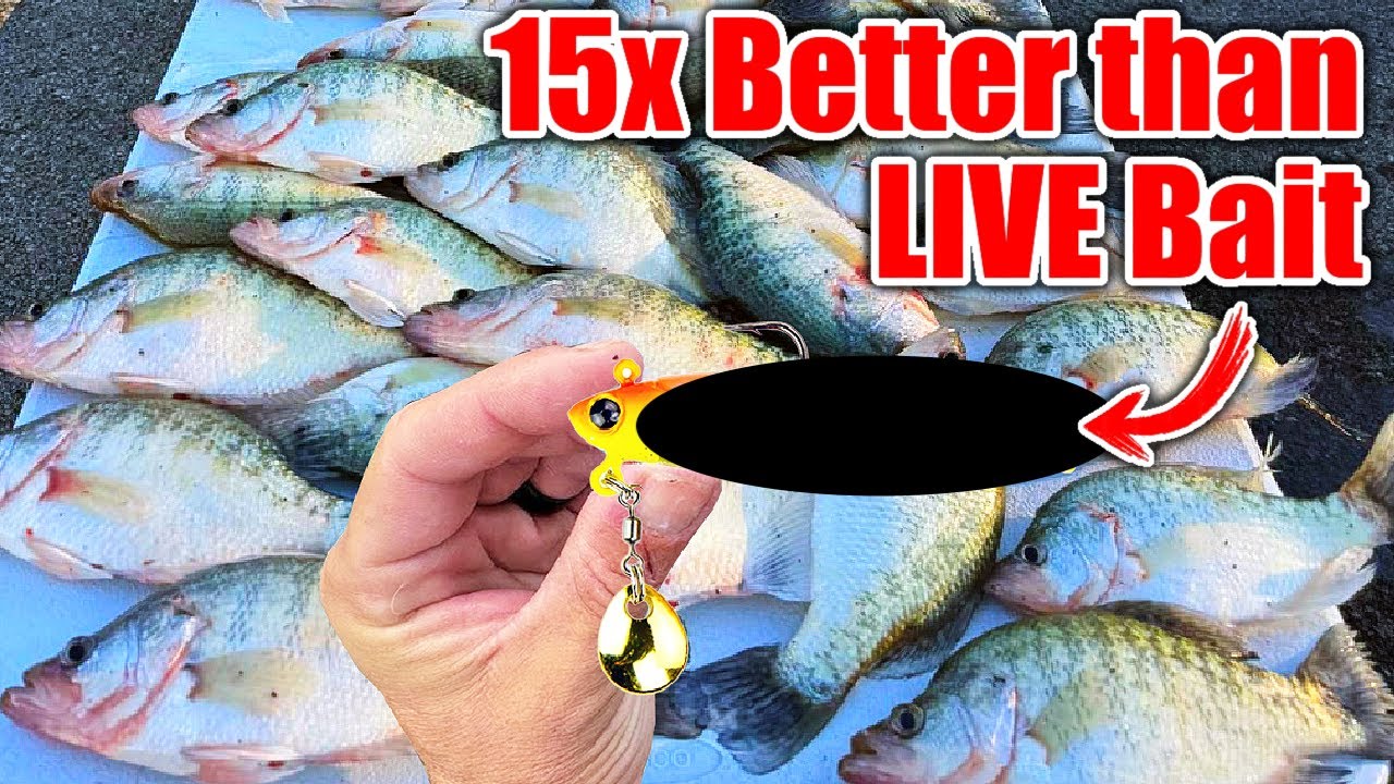New lure outfishes live bait fifteen to one winter fishing