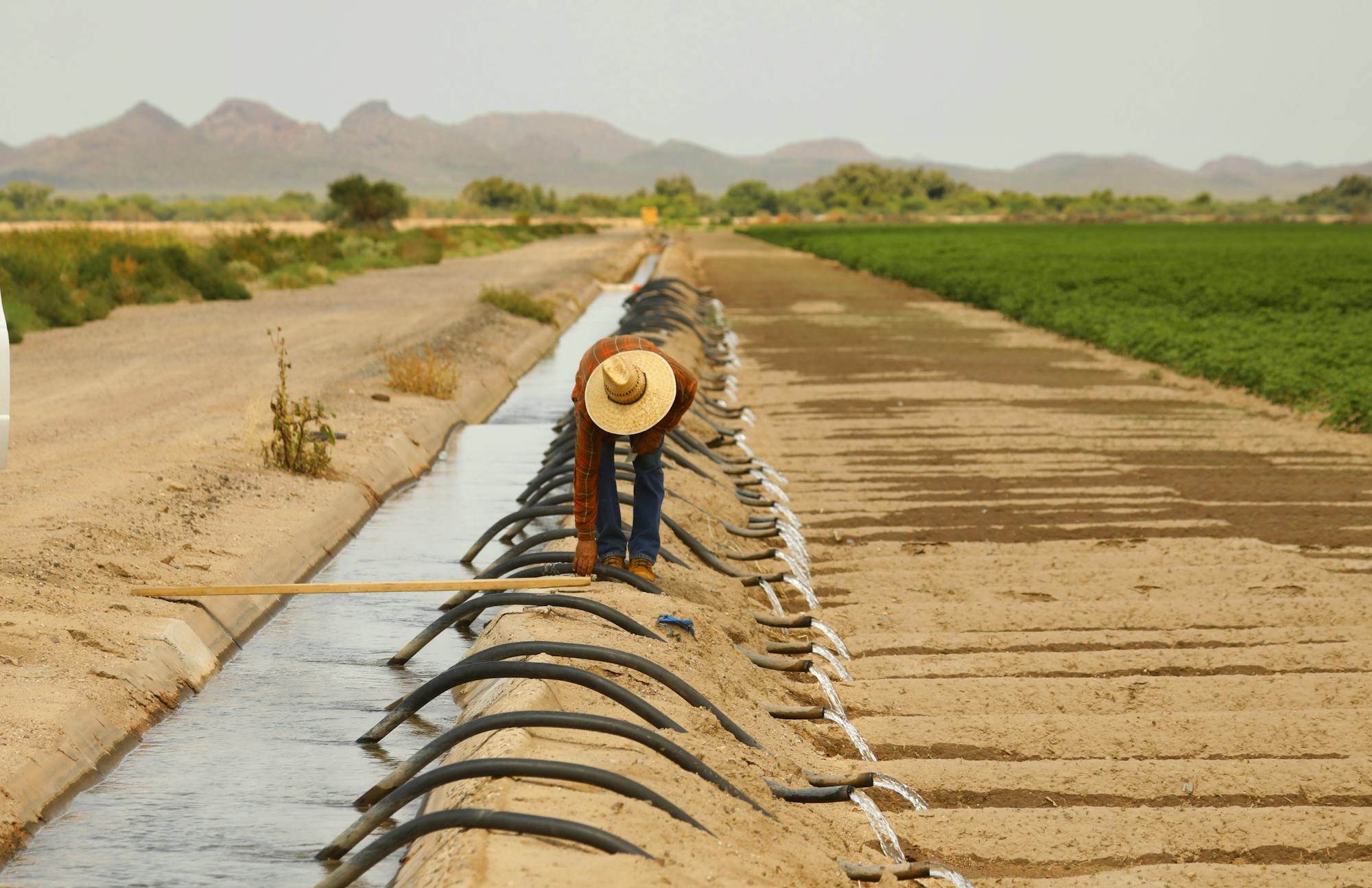 Climate models reveal how human activity may be locking the Southwest ...