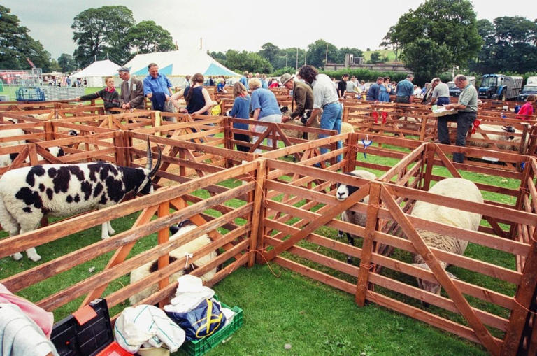 25 years on: Lancaster photographer captures farming life in year 2000