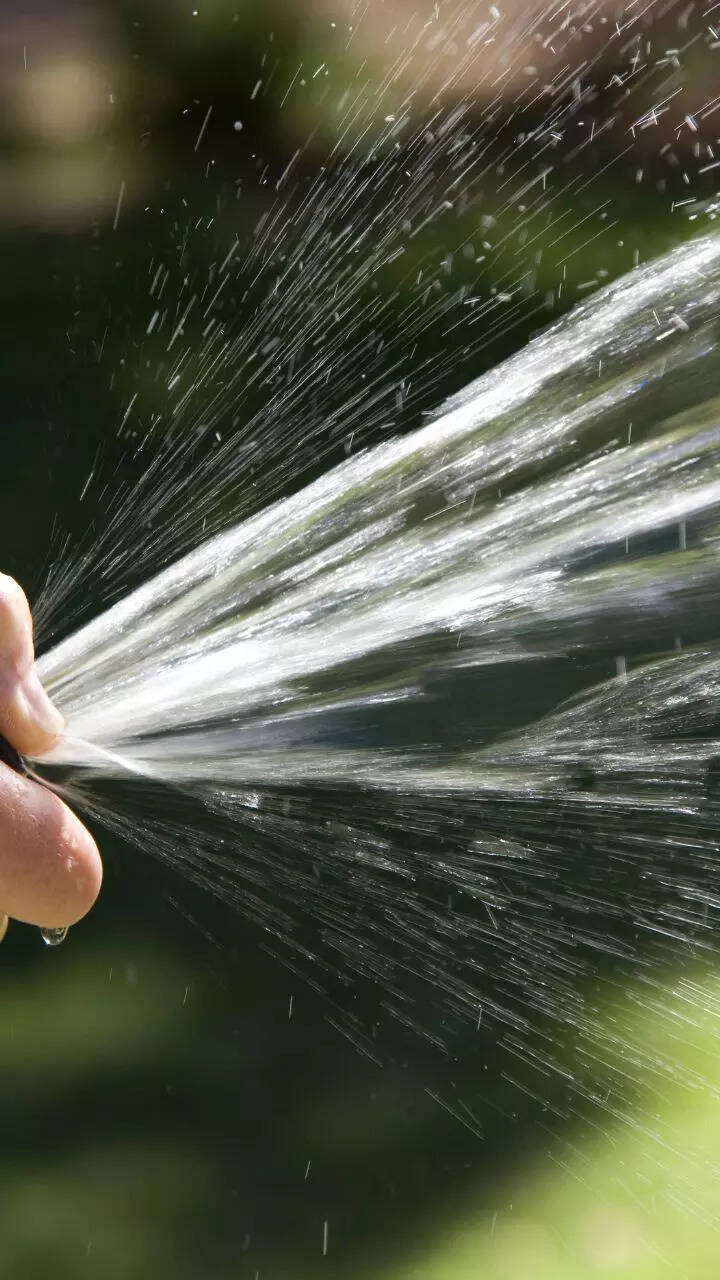How to build a balcony water garden with easy care steps