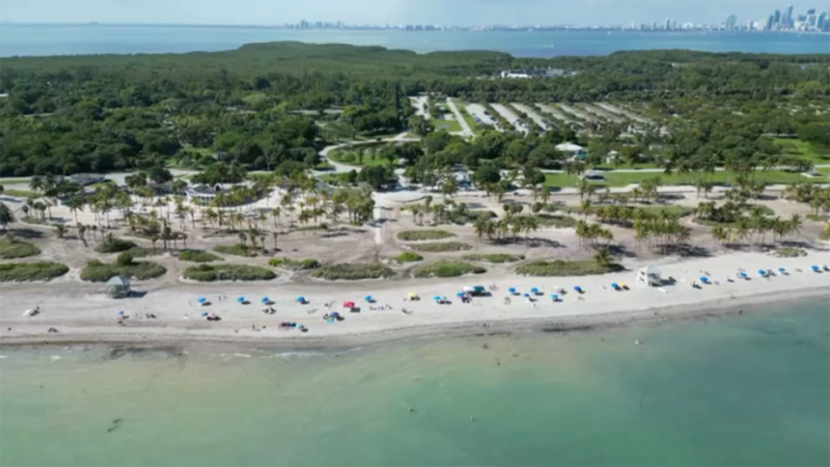 Advisory issued for bacteria in water at Crandon Park North in Key ...