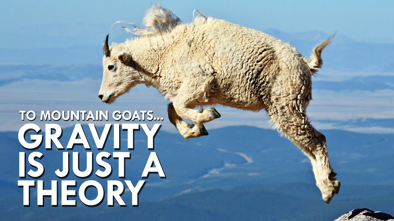Mountain Goats: The Gravity-Defying Legends of the Cliffs