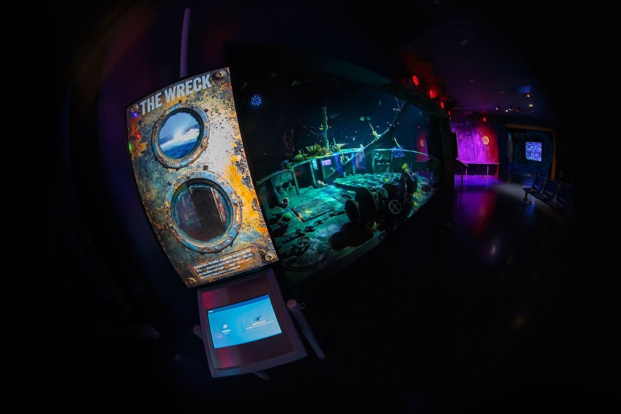 Yorkshire attractions rolls out unmissable events for August bank ...