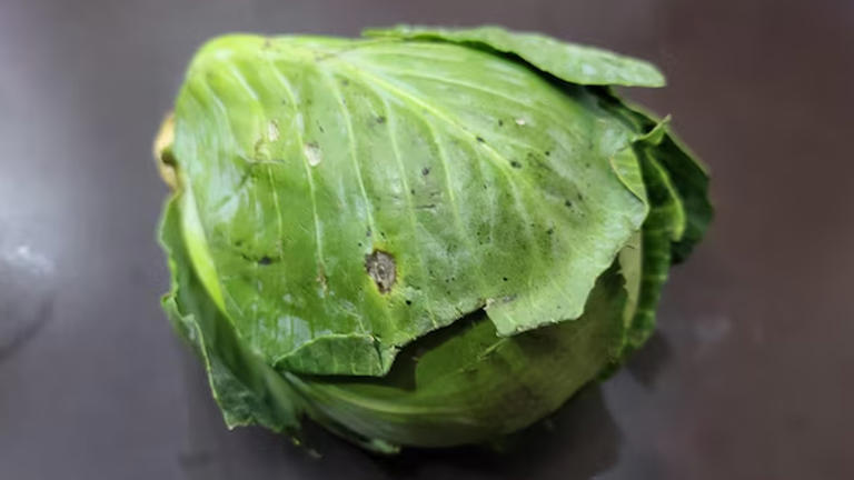 Tapeworm Alert: 7 Common Vegetables That Could Put Your Brain At Risk