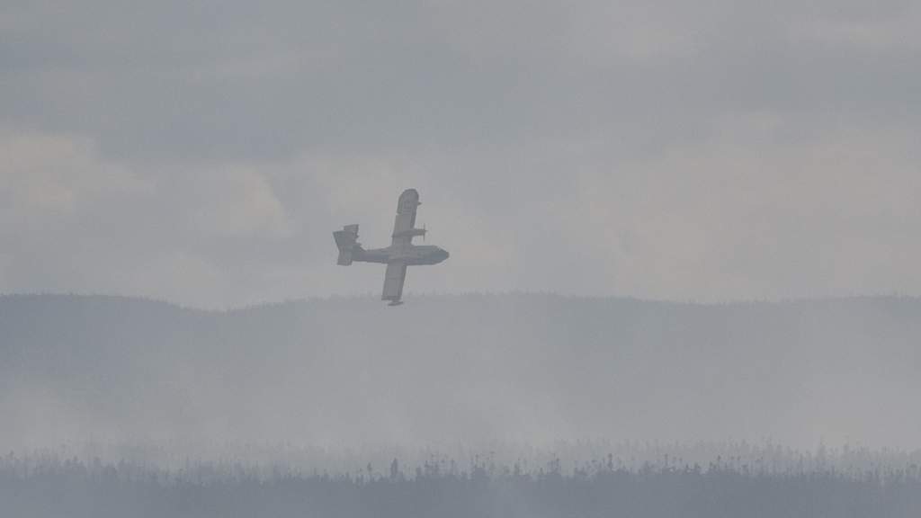 Newfoundland police charge man with arson for starting brush fires amid ban