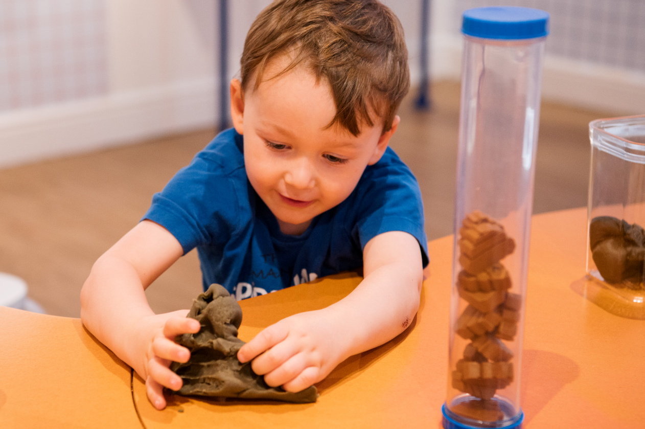 Ancient turds and fart facts feature in cheeky new Leeds museum exhibit ...