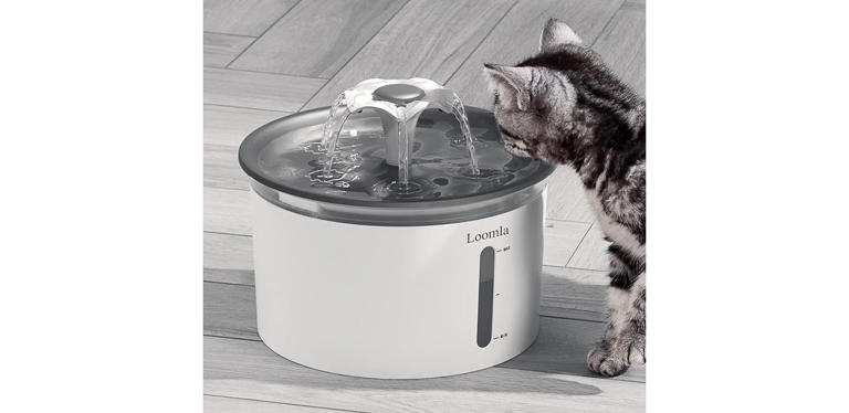 Pet water fountains are actually really good for your dogs and cats