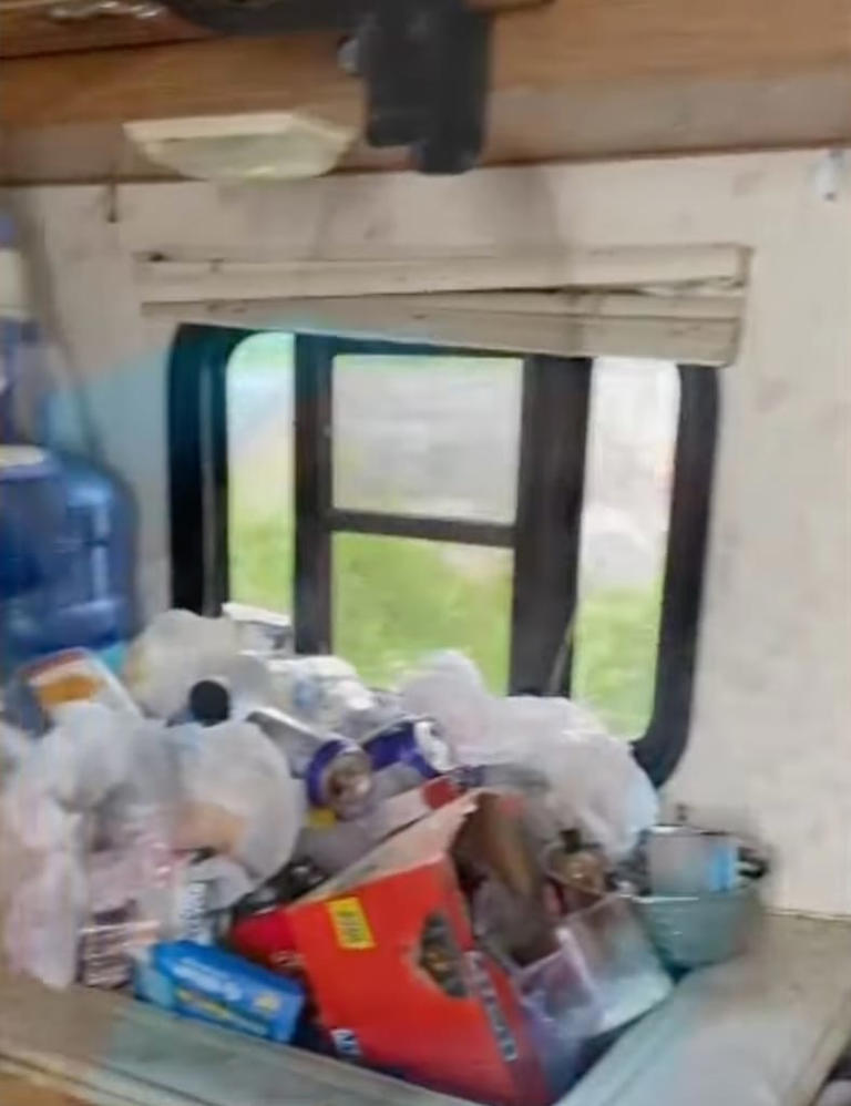 Seven Dogs Trapped in Feces-Filled Camper: Public Demands Justice for ...