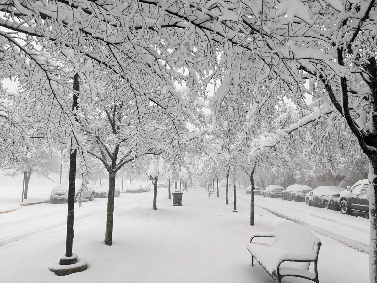 Here's How Snowy You Can Expect This Winter To Be In VA