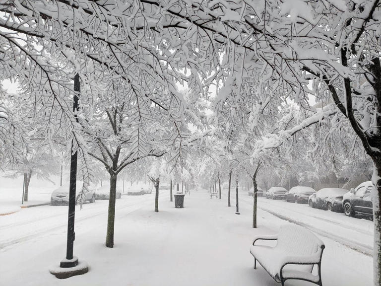 Here's How Snowy You Can Expect This Winter To Be In VA