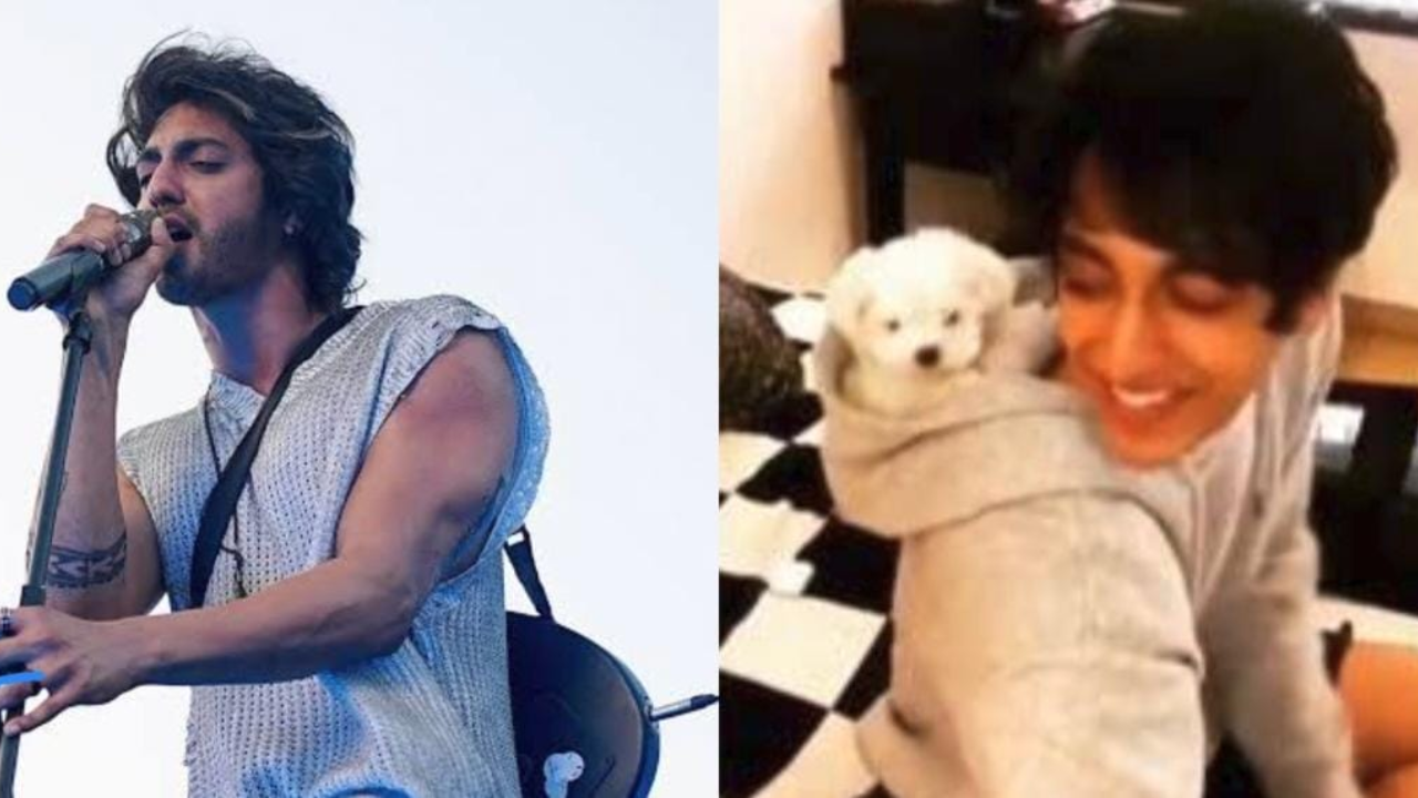 After Saiyaara success, old video of Ahaan Panday rapping with pet MC ...