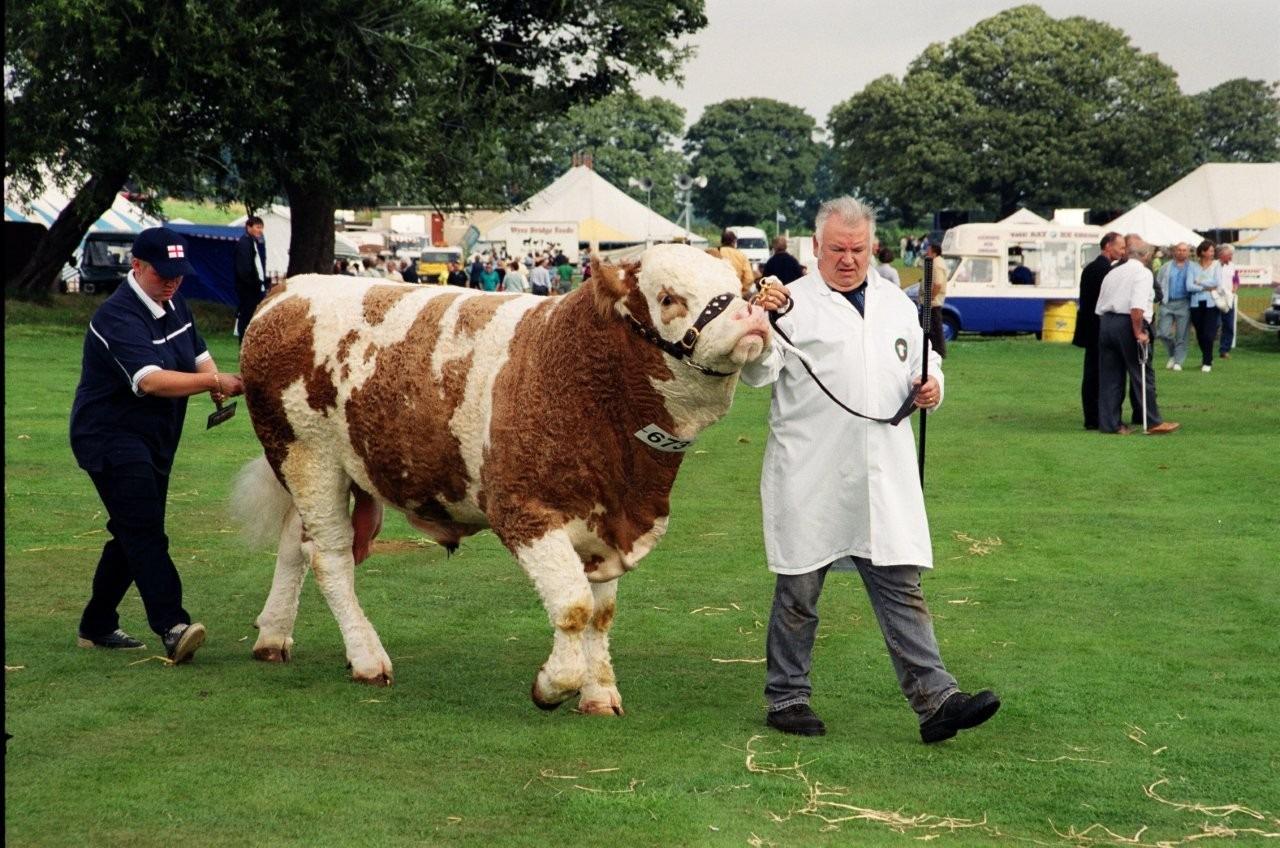 25 years on: Lancaster photographer captures farming life in year 2000