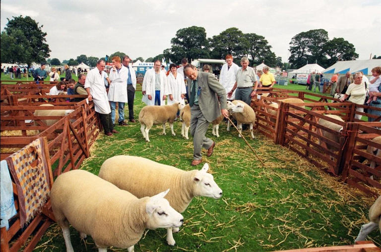 25 years on: Lancaster photographer captures farming life in year 2000