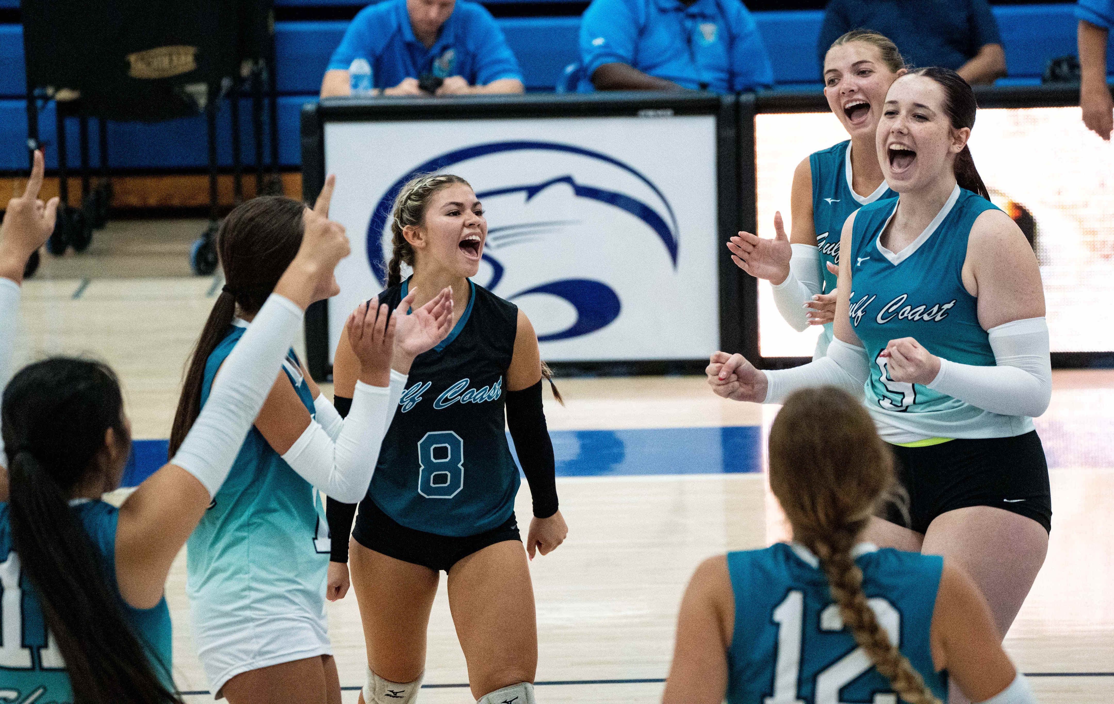 SWFL roundup: Thursday and Friday Volleyball results as regular season ...