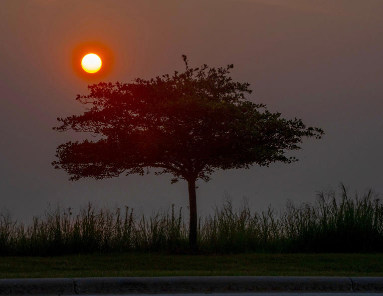 Red flag warning issued for northern Wisconsin with high fire risk May 14