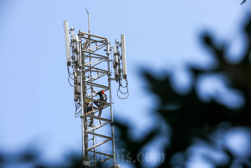 Profil PT Netciti Persada yang Ikut Lelang Pita Frekuensi 1,4 GHz