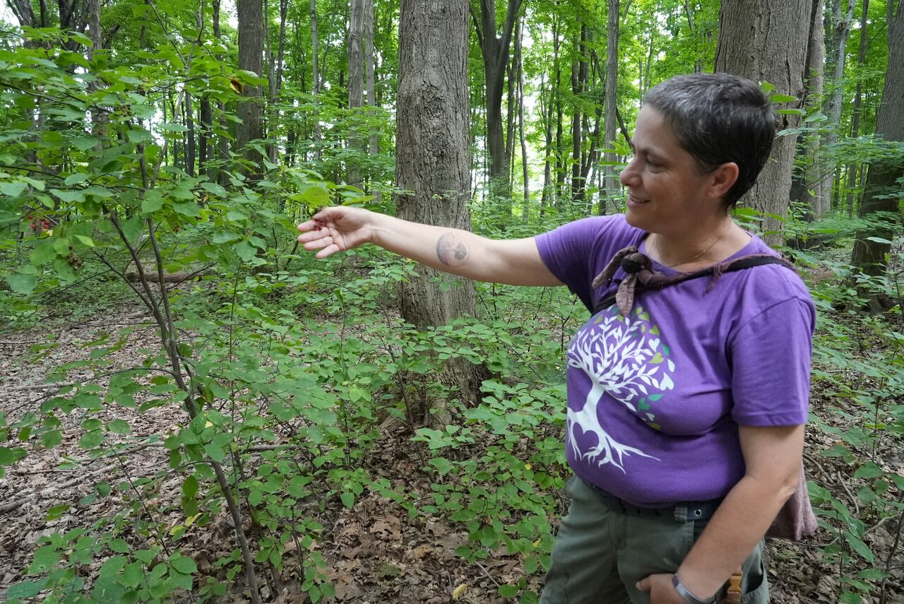 What's on the menu? This Chatham-Kent woman dines on weeds