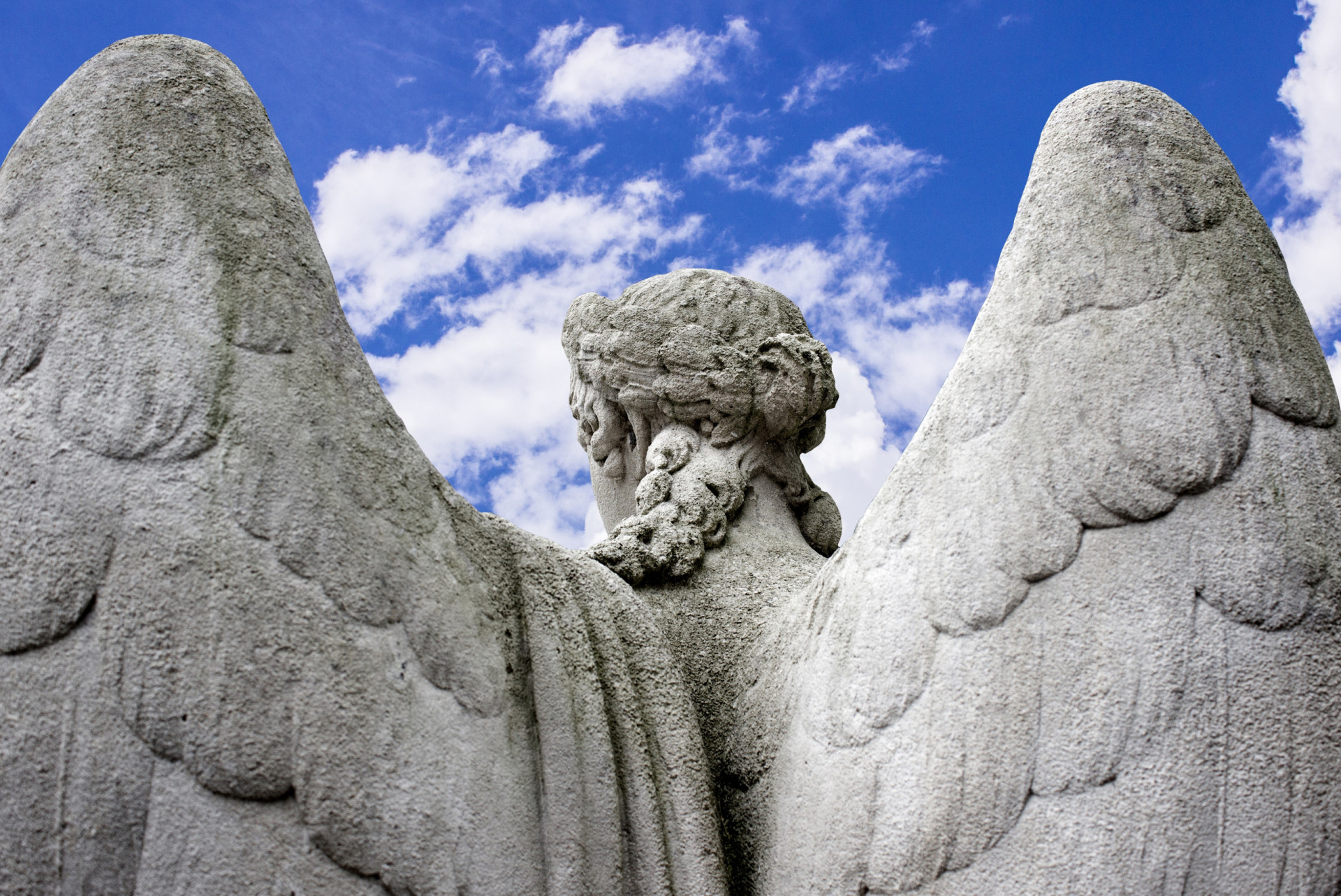 What you might not know about angels