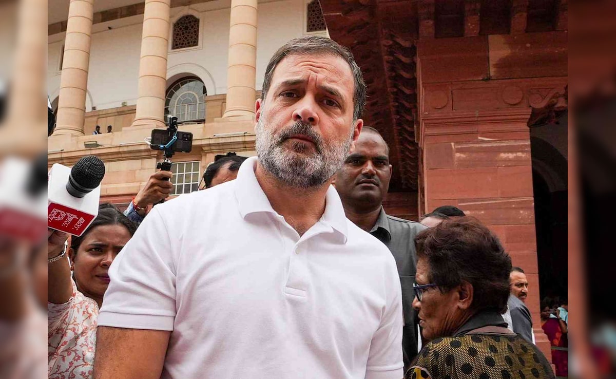 After S&P Rating Upgrade, BJP Attacks Rahul Gandhi Over "Dead Economy ...