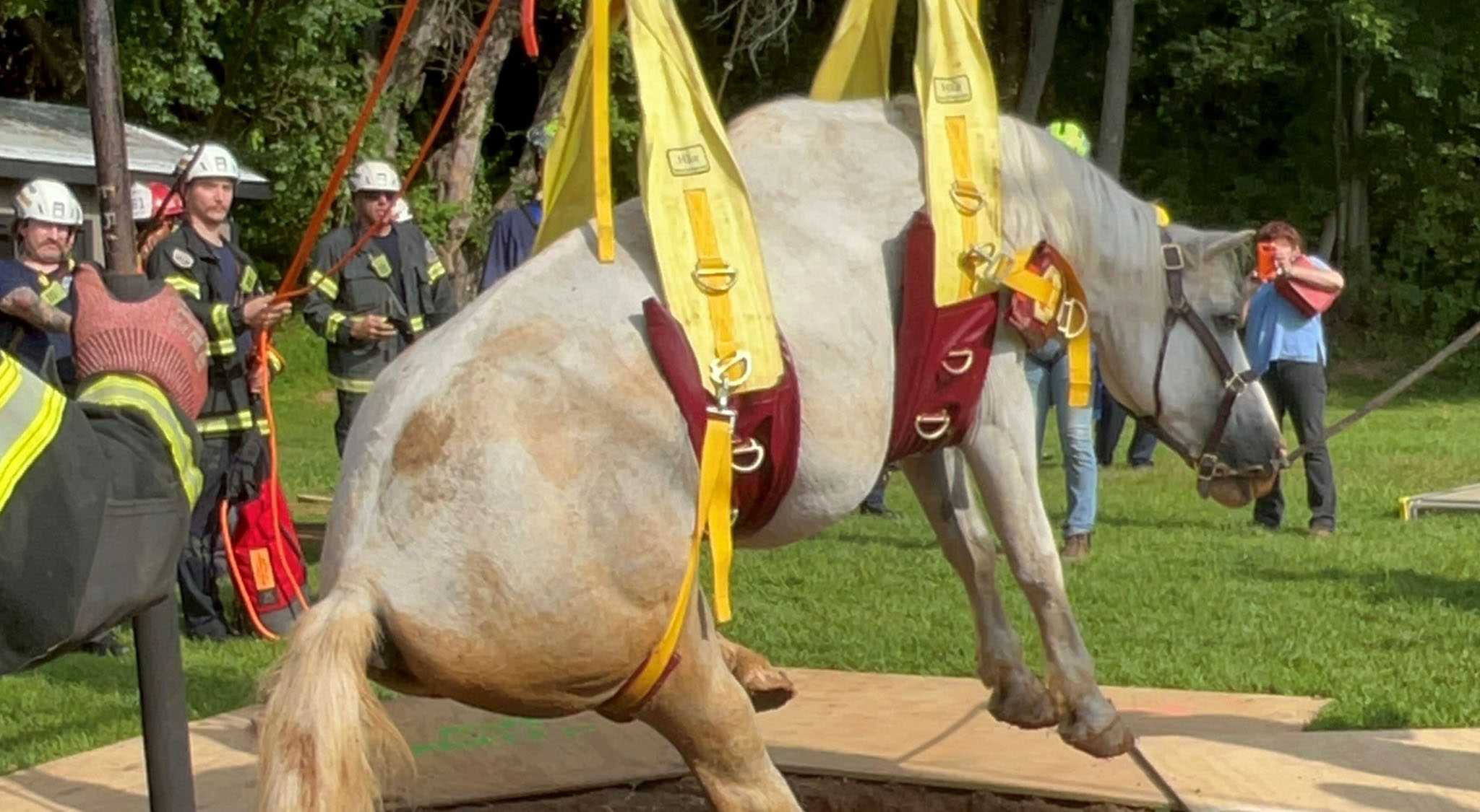 Horse rescued from pit in Reisterstown is home safe, officials say