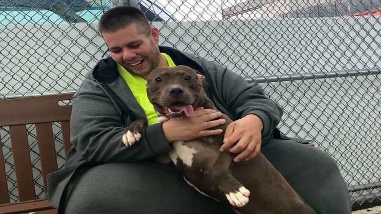 Guy Drives 2,800 Miles To Save Dog He Fell In Love With