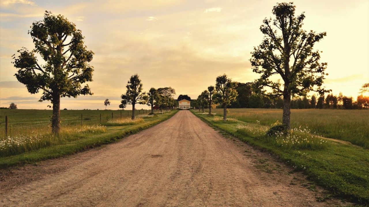 What to Know Before You Put Your House at the Back of the Property